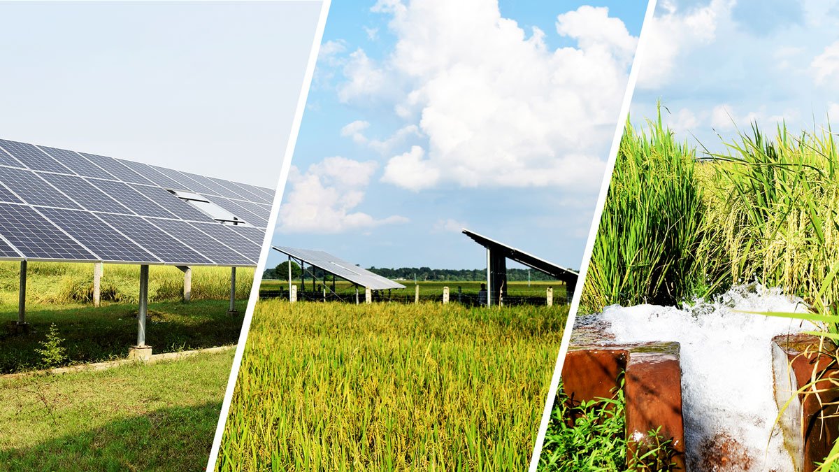 Green Farming: Renewable Power for Sustainable Irrigation and ...